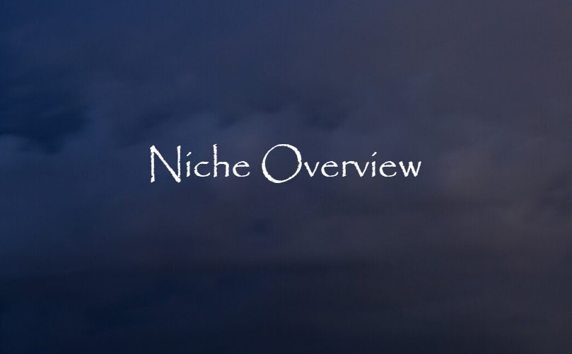 Niche Overview – AI-Powered Niche Research Platform